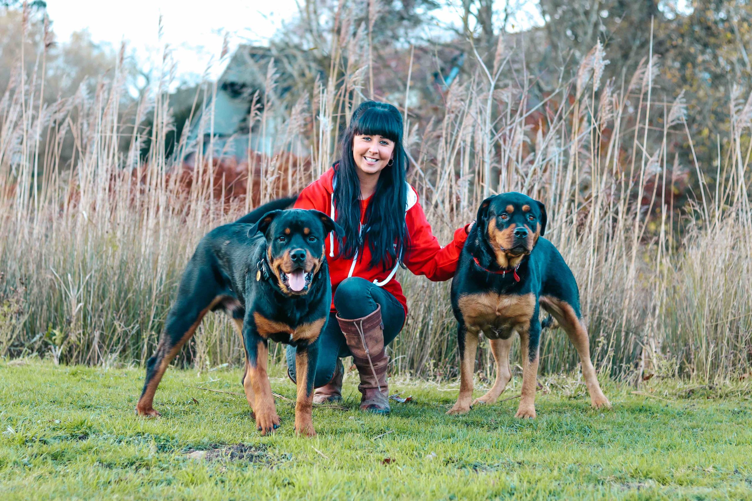 Dog Walker Oulton Broad, Pet Sitter, Dog Boarding | We Love Pets