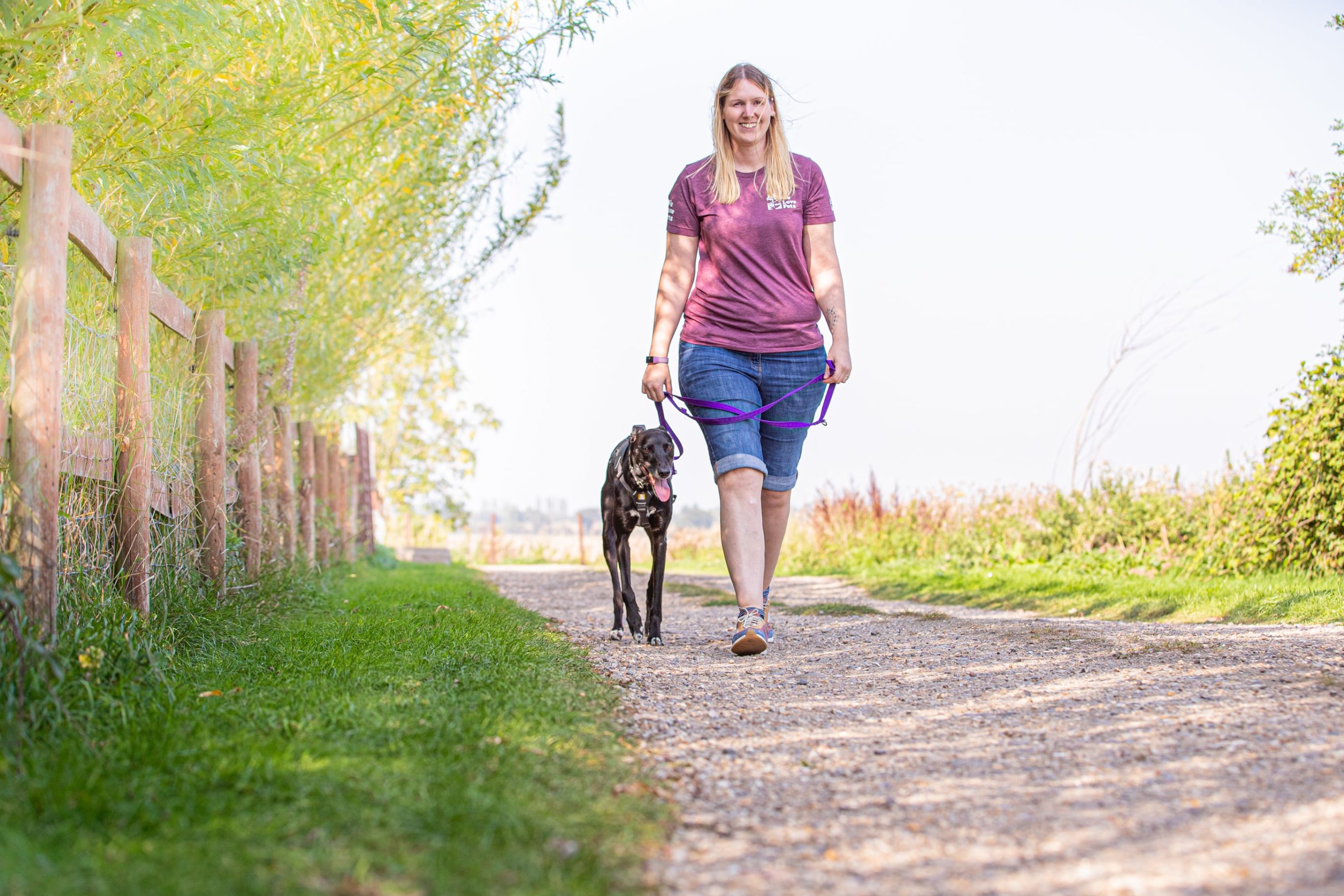 5 Essential Items to Bring on a Dog Walk - We Love Pets