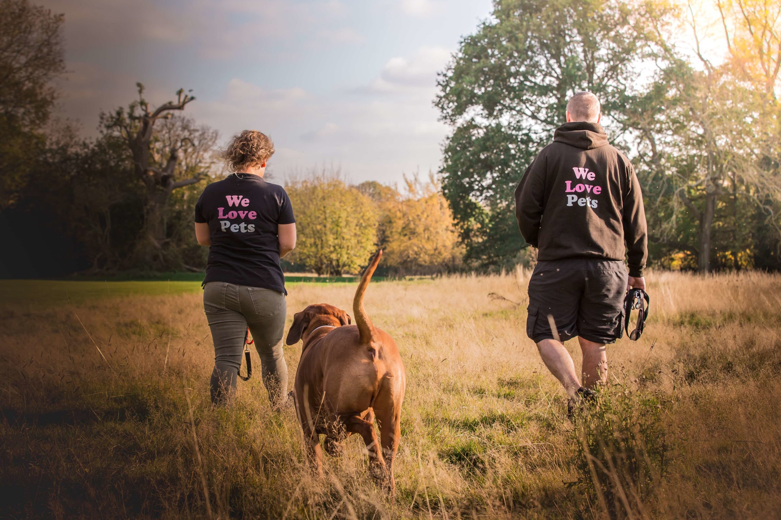 Keeping your dogs safe - We Love Pets