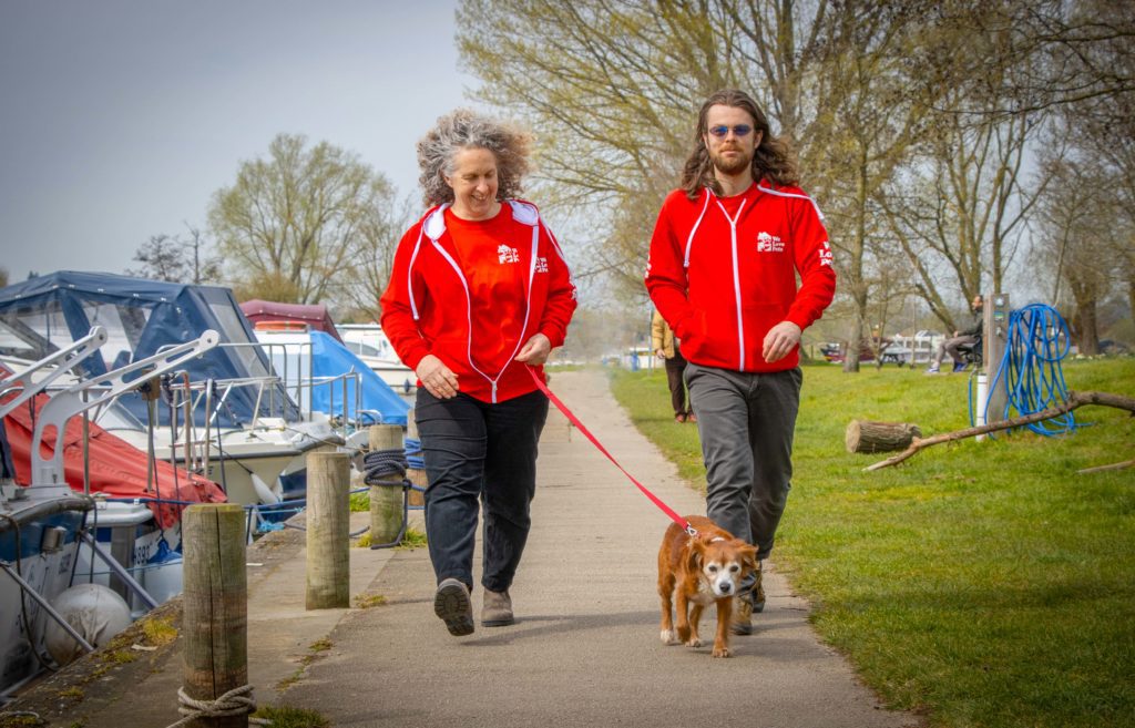 Dog Walker Tamar Valley Pet Sitter, Dog Boarding | We Love Pets
