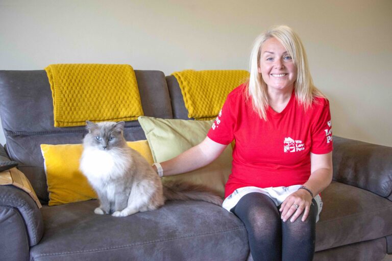 Cat Sitting Near Me | Expert Cat Sitters | We Love Pets