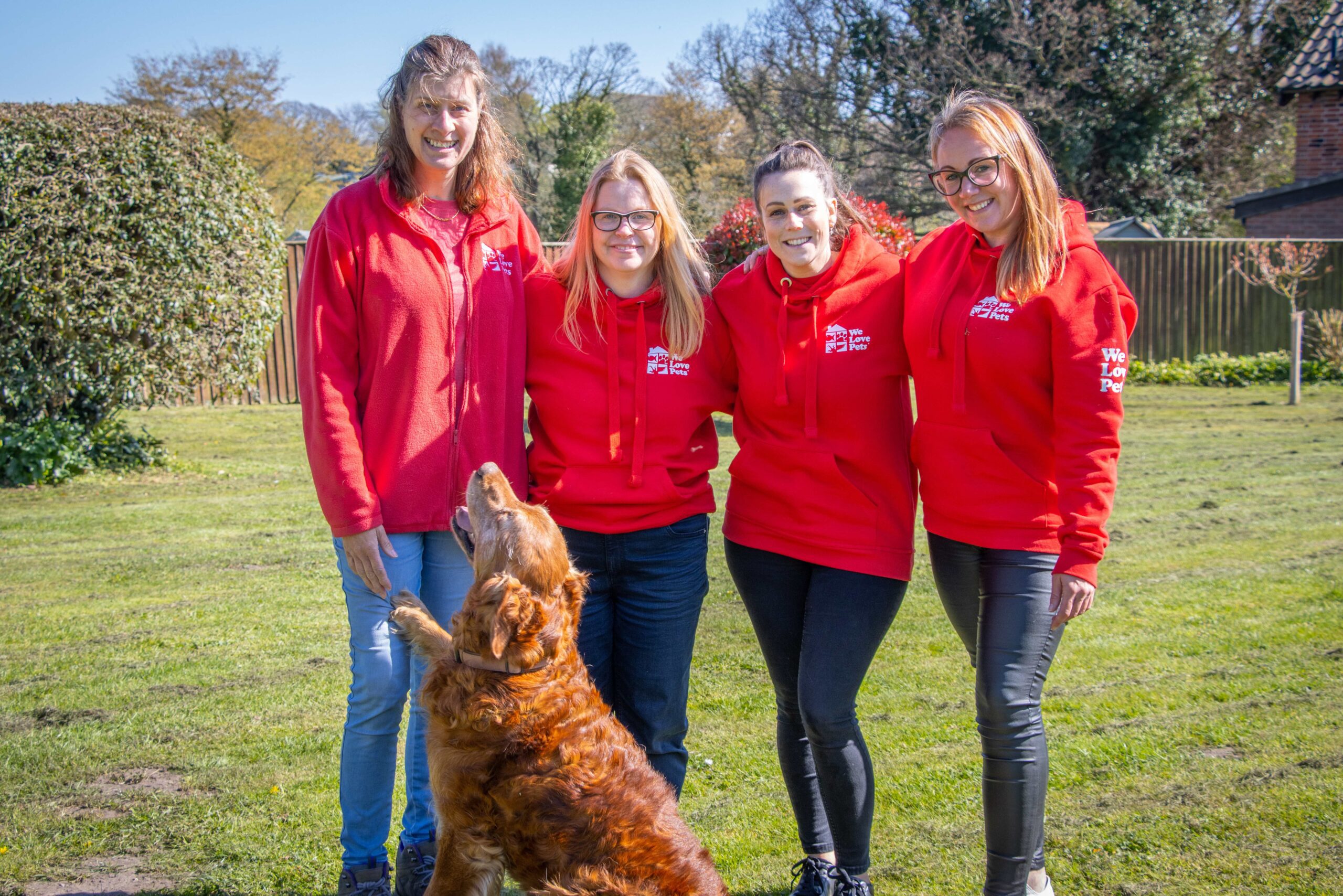 Dog Walker Cambourne, Pet Sitter, Dog Boarding | We Love Pets
